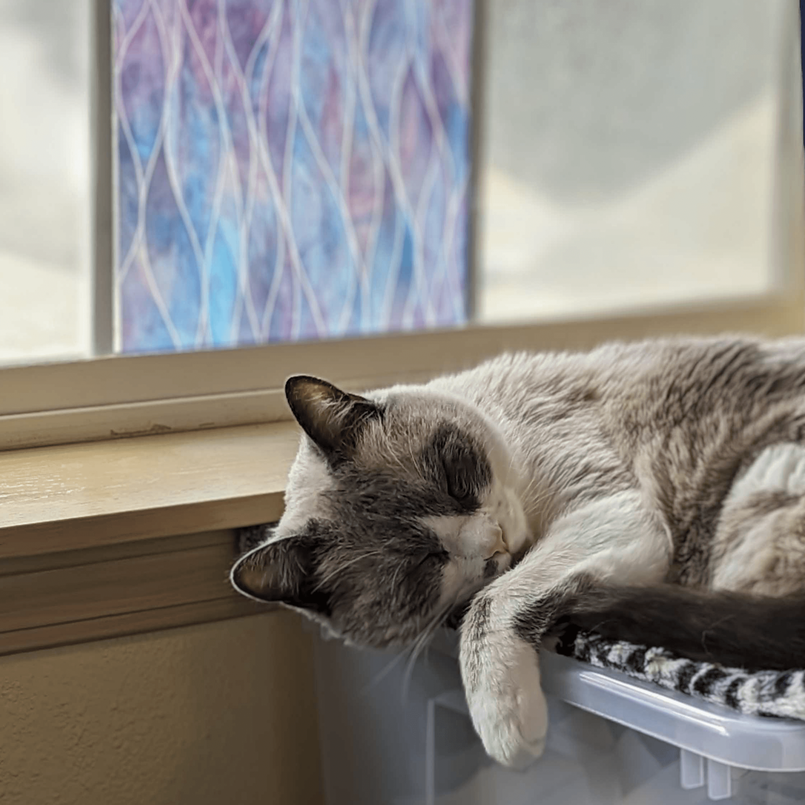 Veterinary Resources | All Creatures Animal Hospital